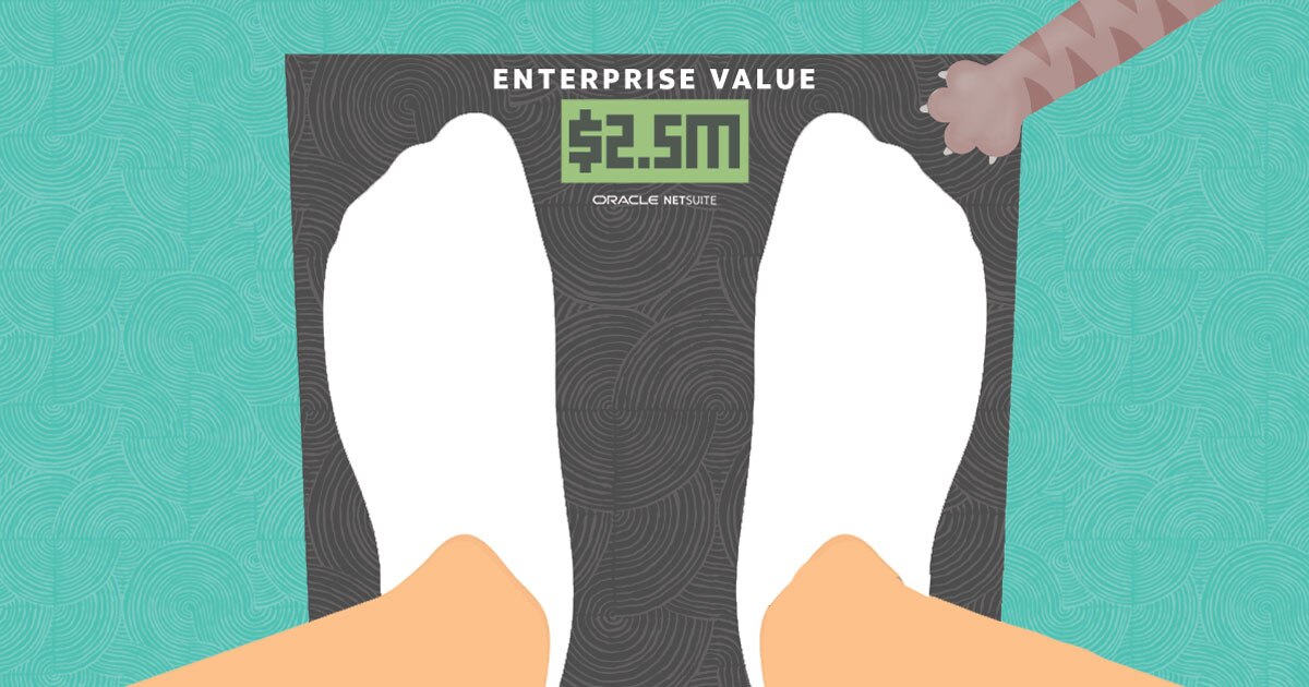 What Is Enterprise Value (EV)? Importance & How to Calculate | NetSuite