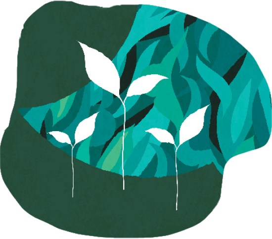 General Ledger Software | NetSuite Australia